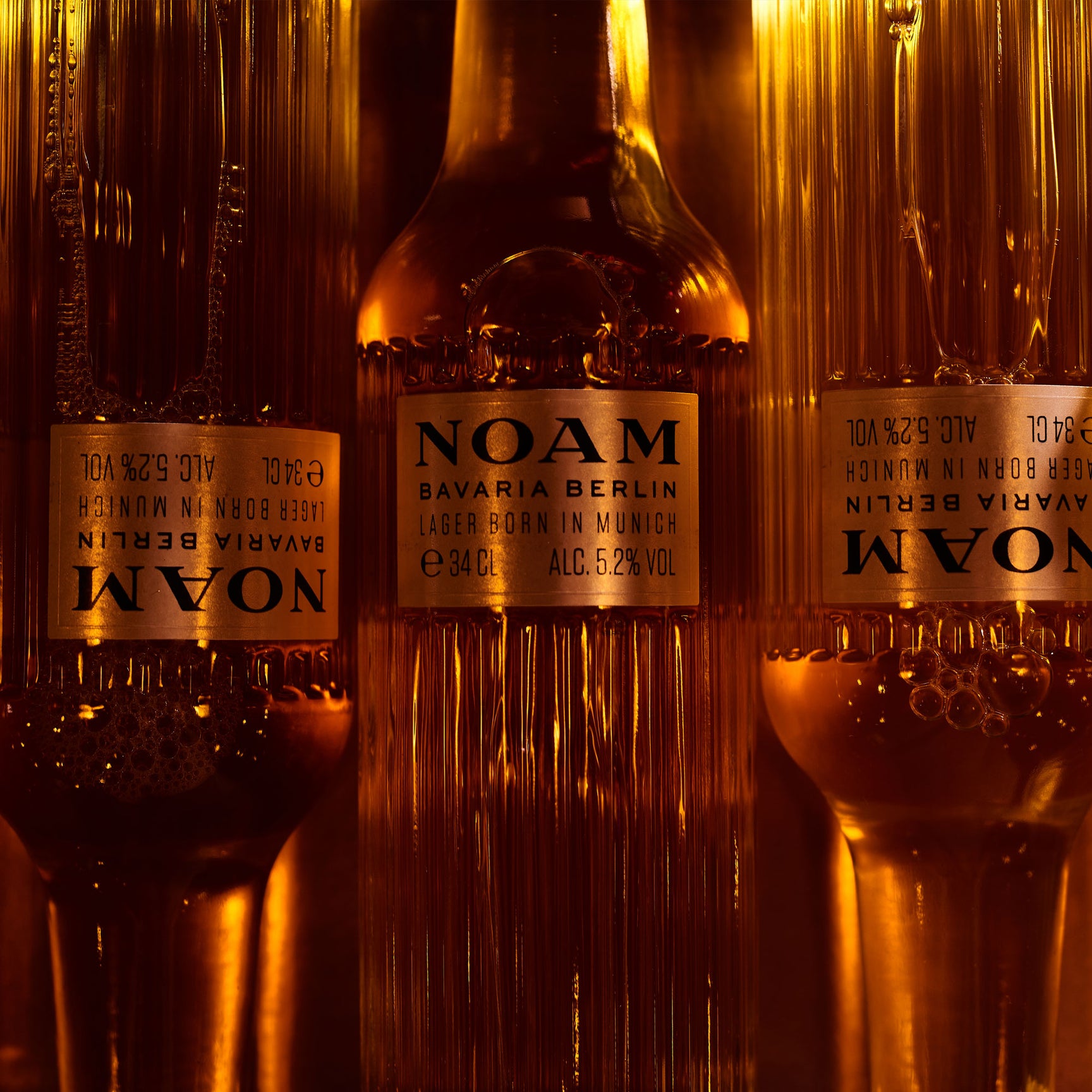NOAM BEER | OFFICIAL WEBSHOP