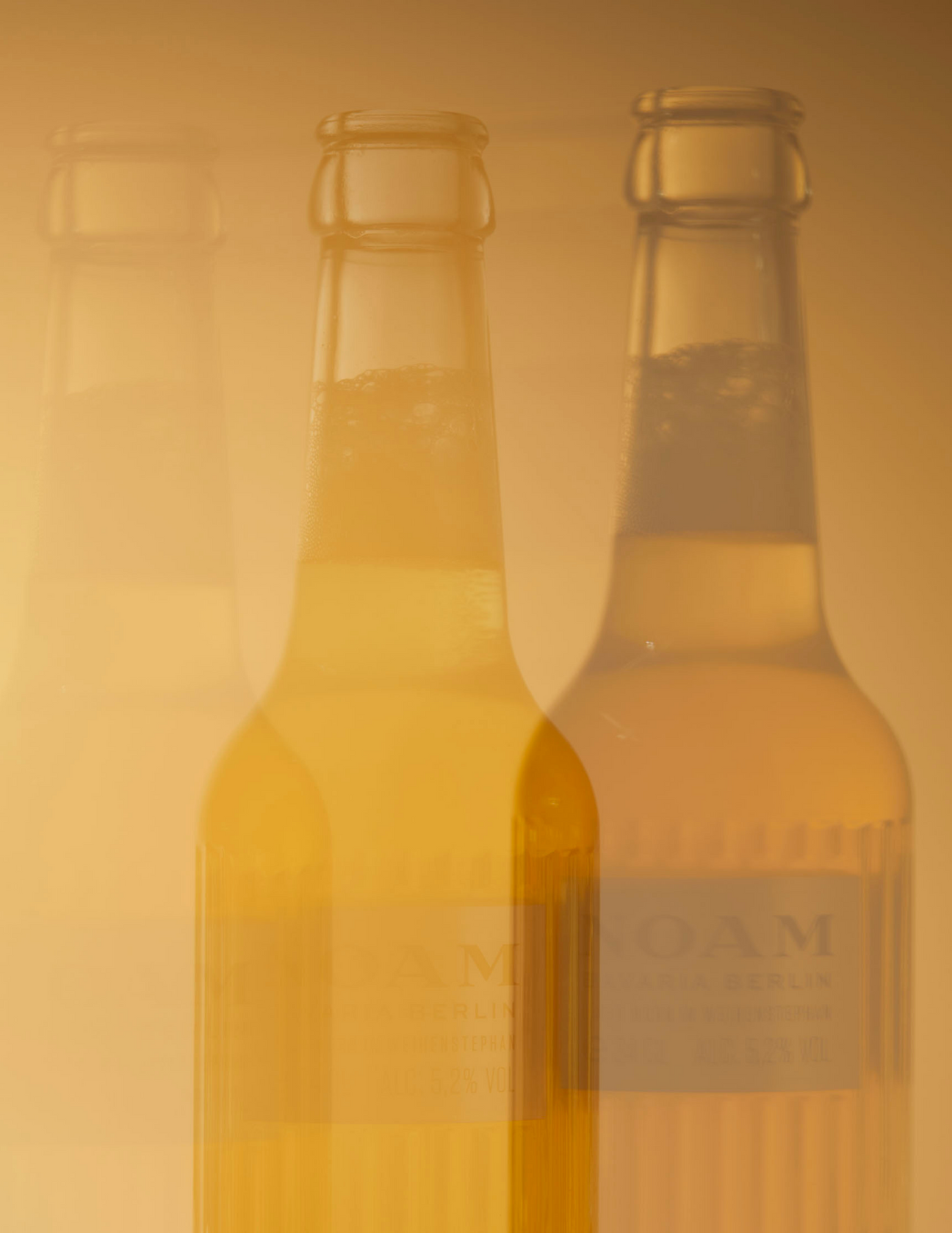 NOAM BEER | OFFICIAL WEBSHOP