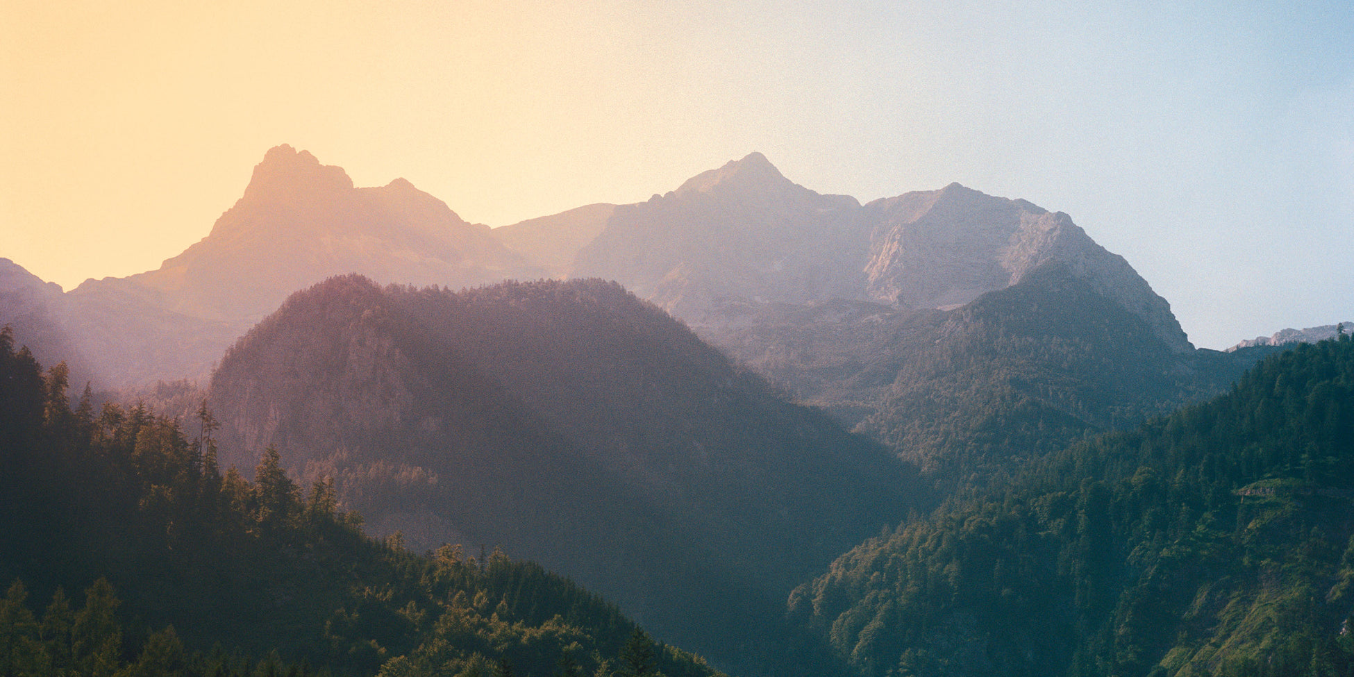 NOAM BEER | OFFICIAL WEBSHOP