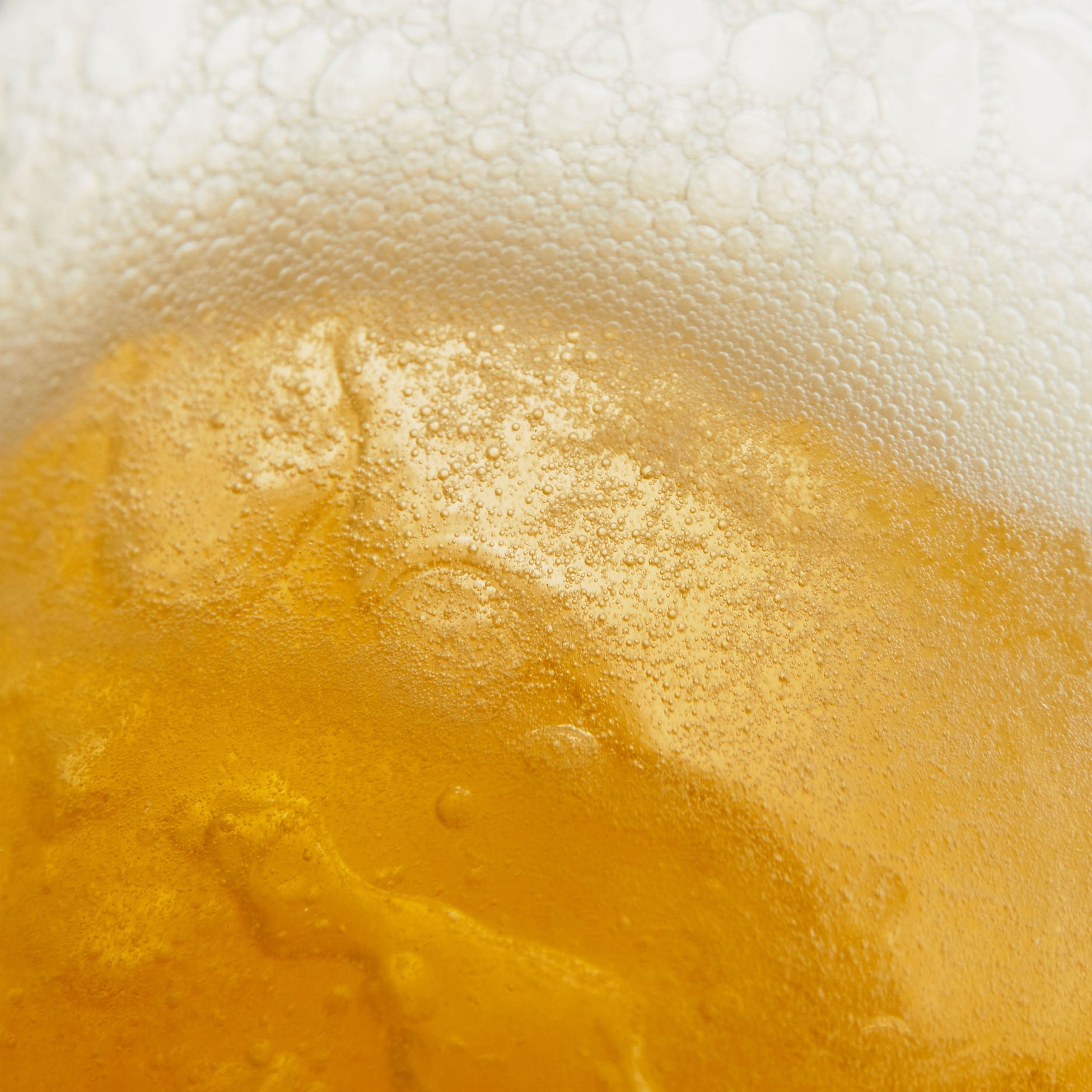 NOAM | An homage to Bavaria – NOAM BEER