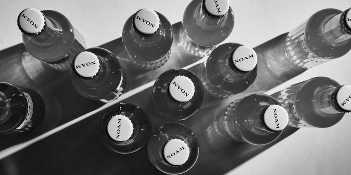 NOAM | Our Story – NOAM BEER